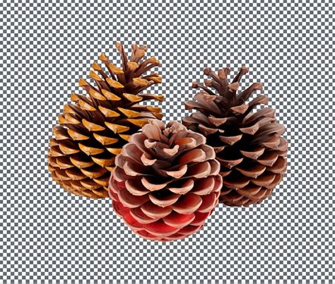 Page 3 Loblolly Pine Psd High Quality Free Psd Templates For Download