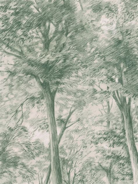 Sketch Of Trees 9632w Mural Scandinavian Wallpaper