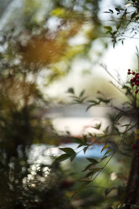 Terri Weifenbach Fotofilmic