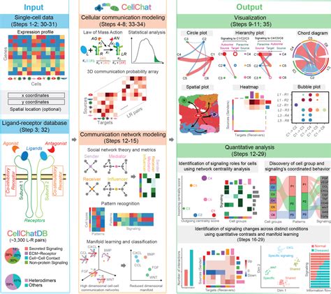 空转 Cellchat V2，揭秘空间转录组数据的细胞通讯分析 腾讯云开发者社区 腾讯云