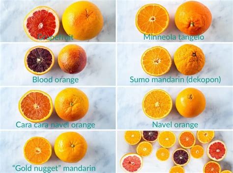 Oranges 101 Learn To Cook This Bright Fruit Prized By The Ancient Nobility