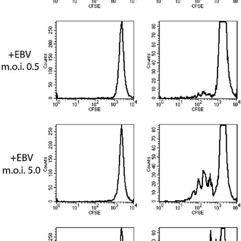 Analysis Of Cell Cycle Entry By Cfse Labelling Primary B Cells Were