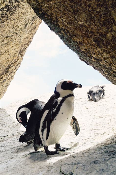 South Africa Travel Guide Pommie Travels