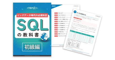 ビッグデータ時代の必須科目 Sqlの教科書 ｜データベース開発支援ツール Si Object Browser