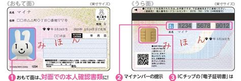 マイナンバーカードの交付状況と自治体の活用事例を詳しく解説 業務改善ガイド｜タヨロウ｜バックオフィスを支援する「頼れる労務online」