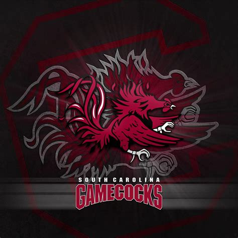 Carolina Gamecock Wallpapers Wallpaper Cave