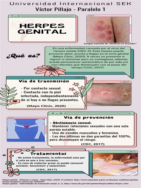 Síntomas Y Causas Del Herpes Genital Pdf Ciencia Y Matemáticas