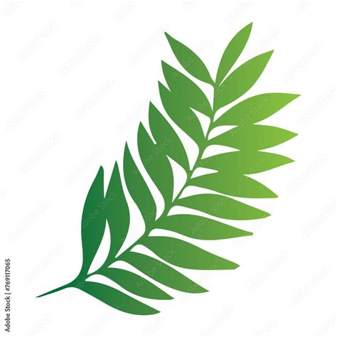 Leaves Of Tropical Trees Ferns Exotic Leaves Stamp Leaf Shape Leaf Stencils Color Gradient