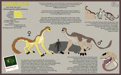 Simosaurus Refsheet By Timcreo On Deviantart