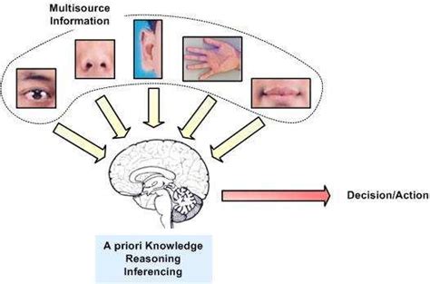 Human Information Fusion System 2 Download Scientific Diagram