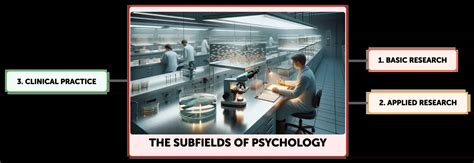 The Subfields Of Psychology Algor Cards