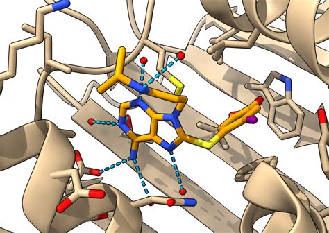 Chimerax Structure Visualization