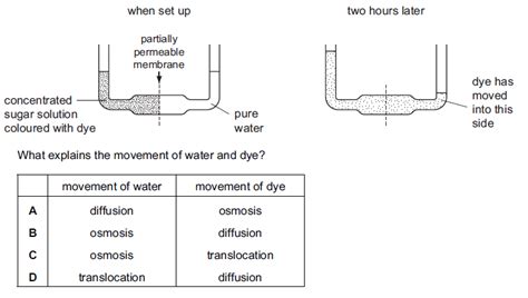 Igcse Biology 0610 31 Diffusion Igcse Style Questions Paper 1