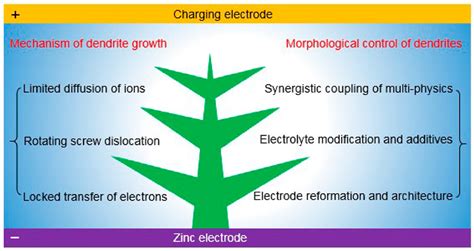Dendrite