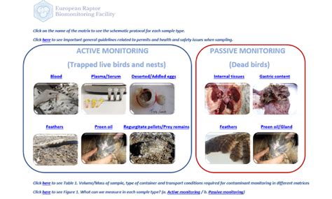 Preview Of The Main Menu Of The Schematic Protocol Full Protocol