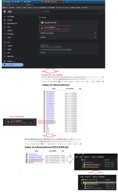 Selenium （自动化概念 测试环境配置）