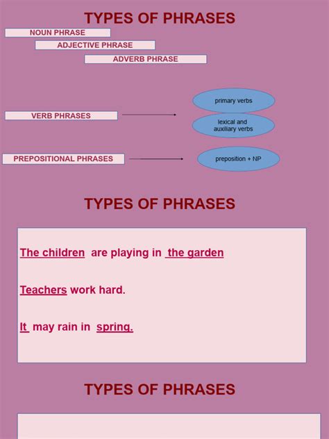 5 Unit 2 Premodifiers Of The Noun Phrase Pdf Adjective Linguistics