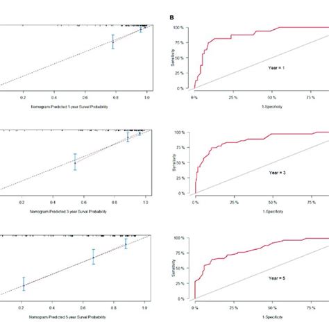 Performance Of The Nomogram For Predicting Tumor Recurrence Or Download Scientific Diagram
