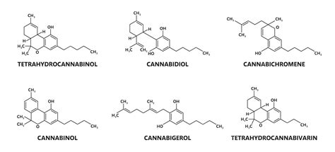 Premium Vector Cannabinoid Molecule Structure Chemical Formula