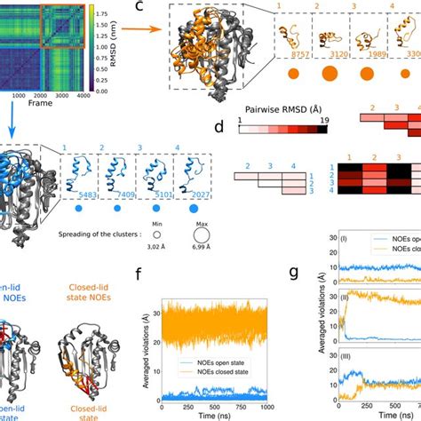 Solution Structure Ensembles Of Hsp90α Ntd Atp Lid Open And Closed Download Scientific Diagram