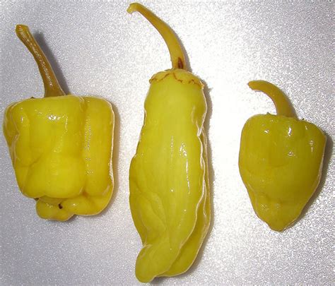 Pepperoncini: Wiki facts for this cookery ingredient