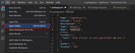 Lighthouse User Flow Report Step By Step Guide To Follow