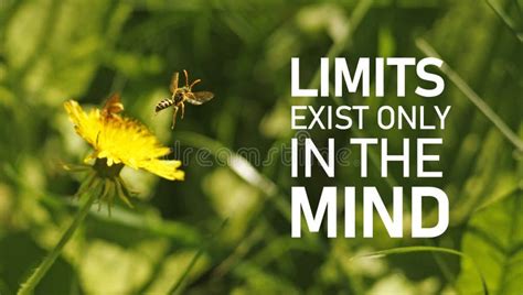 Limits Exist Only In The Mind Is Shown Using The Text Motivational