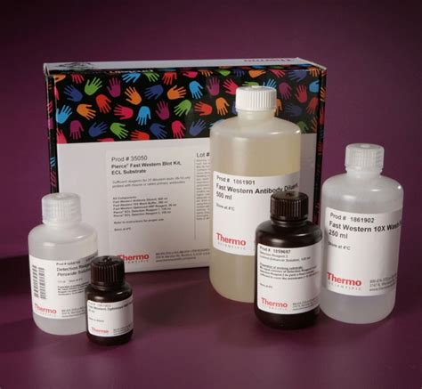 Pierce™ Fast Western Blot Kit Ecl Substrate 1 L Kit Buy Online