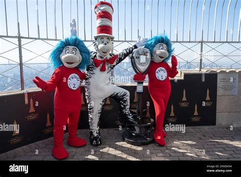 The Cat In The Hat Thing 1 And Thing 2