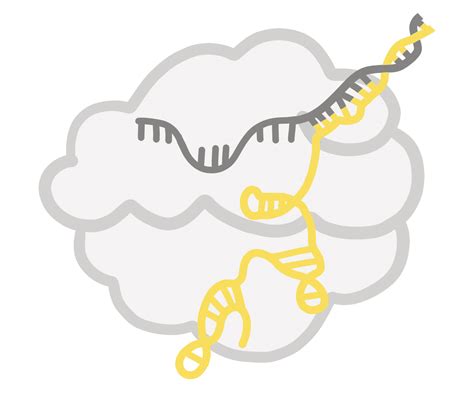 Nieuw Crispr Cas Systeem Knipt Virus Rna Engineeringnet