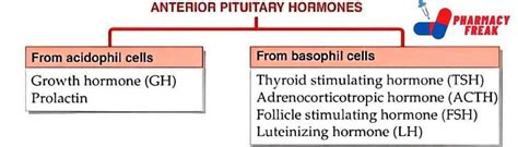 Classification Of Anterior Pituitary Hormones