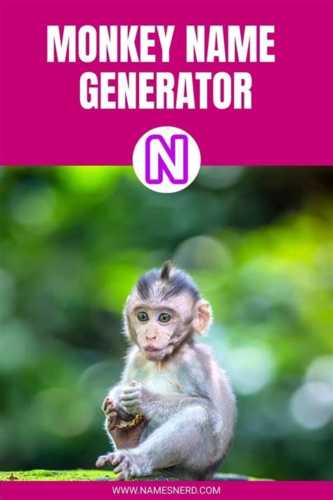 Monkey Name Generator Namesnerd Monkey Names Monkeys Funny Monkey