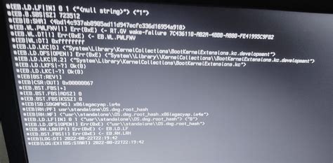 why is it not booting r macos