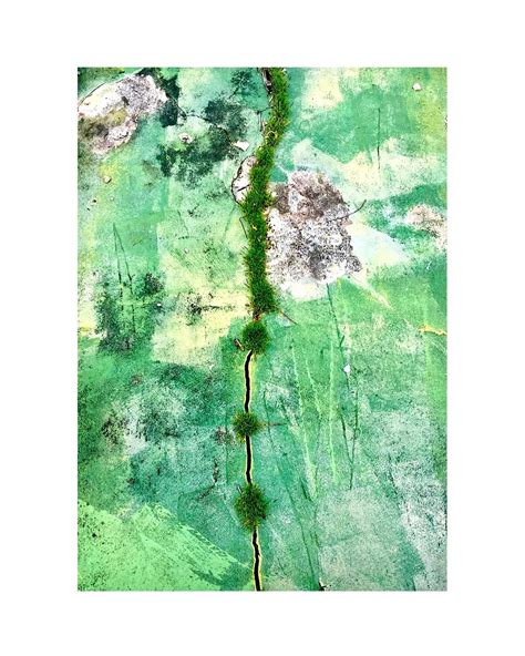 Alison Tirrell Alisontirrell • Instagram Photos And Videos