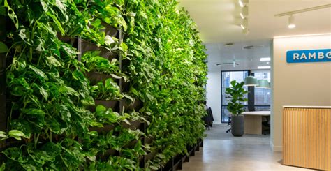 Biophilic Wall Design Living Green Walls For Interiors Best