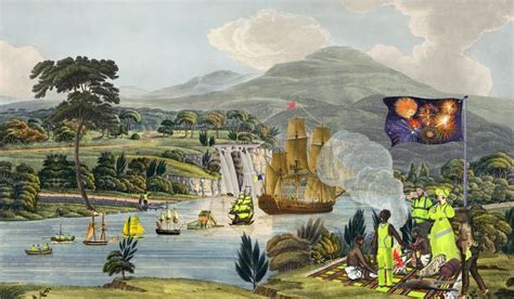 Joan Ross Nets Victoria