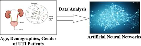 Uti Data Analysis And Its Performance Parameters Download Scientific Diagram