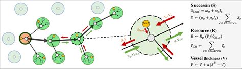 figure 1 from robust and adaptive robot self assembly based on vascular