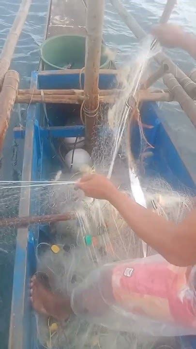 Pasayan Shortvideo Youtube