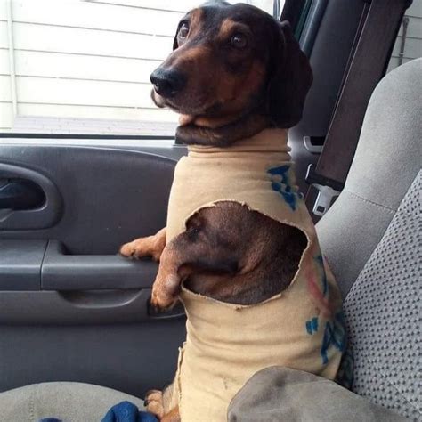 Mark Hendricks Youtube