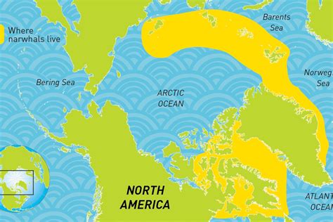 Narwhal Habitat Map