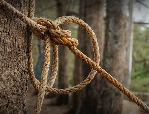 How To Make The Tax Code Work For You Oakcrest Capital