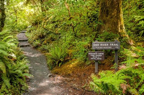 19 Best Hikes In Olympic National Park For 2024 The Planet D