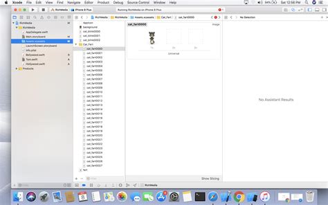 Swift How To Add Array Of Images From A Folder Of Xcode Assets Folder