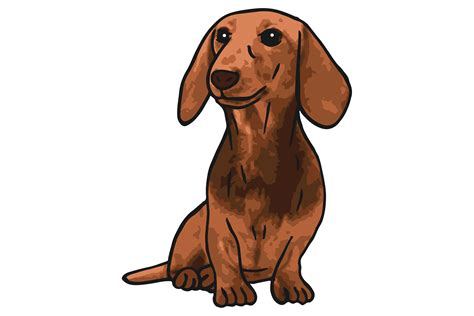 Dachshund Dog Cute Cartoon Sticker Graphic By Mvmet · Creative Fabrica