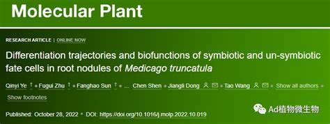 Molecular Plant 中国农业大学研究揭示共生固氮根瘤的单细胞转录组 知乎