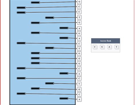 Solved Interpret The Dideoxy Chain Terminating