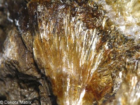 Anthophyllite Mineral Specimen For Sale