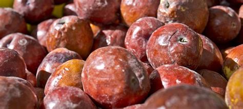Jujubes Pcfma