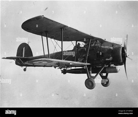 The Royal Navy During The Second World War No 785 Squadron Fleet Air